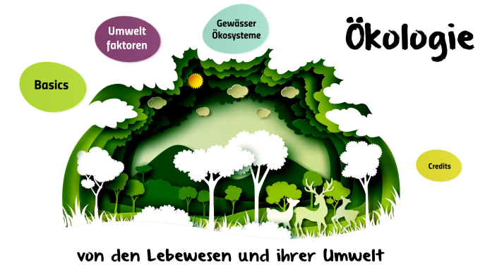 Ökologie by Markus Gruber on Prezi