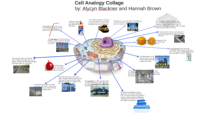 Cell Analogy Collage by Hannah Brown on Prezi