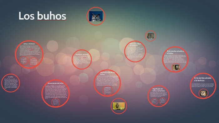 Los buhos by Daniela Reyes on Prezi
