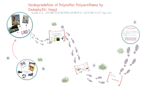 Biodegradation of Polyester Polyurethane by Endophytic Fungi by Maíra ...