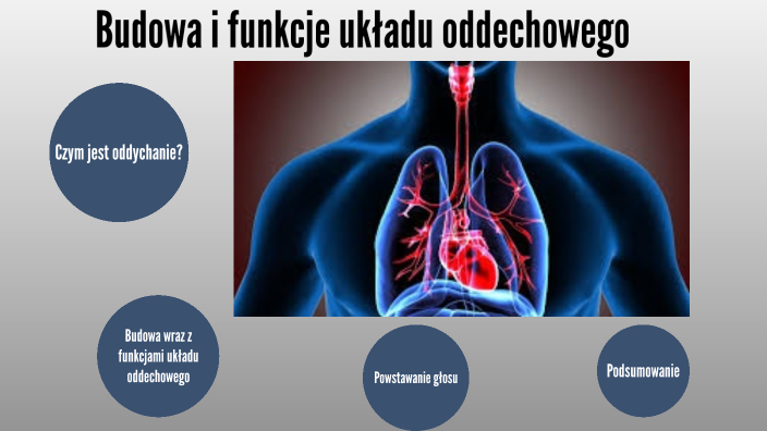 Budowa i funkcje układu oddechowego. by Katarzyna Wiśniewska on Prezi