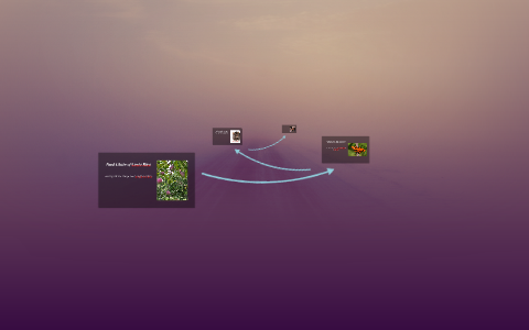 Food Chain of Costa Rica by Lexi Betz on Prezi