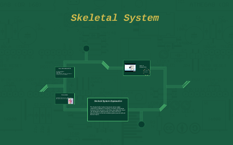 Skeletal System by conner heaton on Prezi