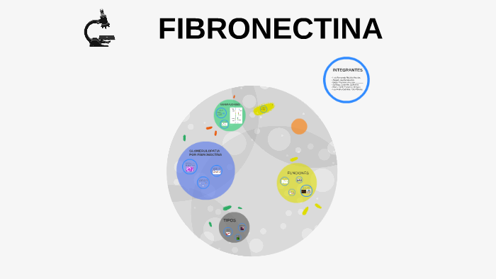 Fibronectina by Luis Fernando Bolaño Morales on Prezi