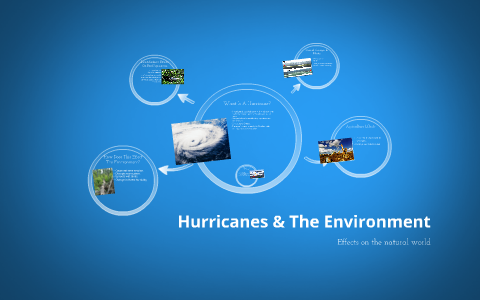 Hurricane Effects on The Environment by on Prezi