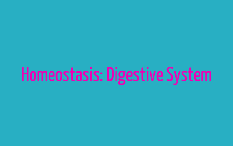 Homeostasis; Digestive System by Alexis Beck on Prezi