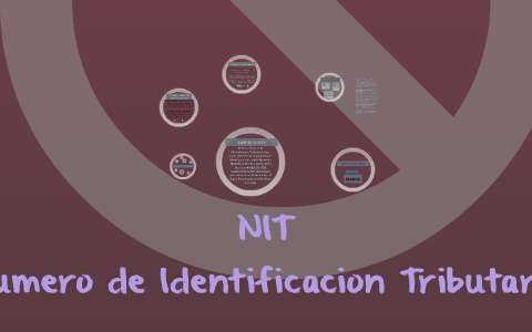 ¿Que Es El Nit? by on Prezi