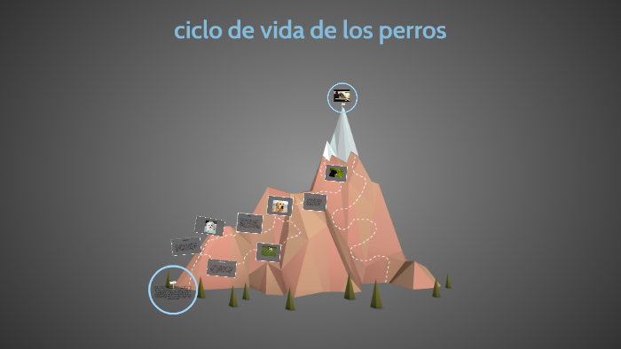 ciclo de vida de los perros by Gustavo Rivera on Prezi