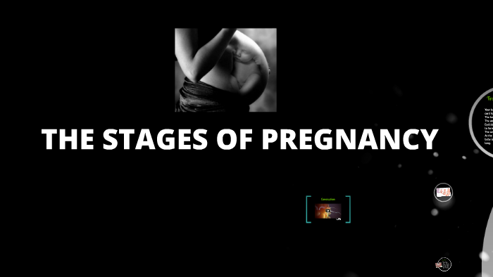 PREGNANCY STAGES by jacinta wright on Prezi