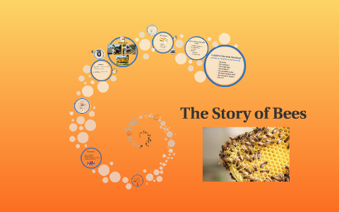 Why Are Bees Dying??? by Mary-Kate Doherty on Prezi