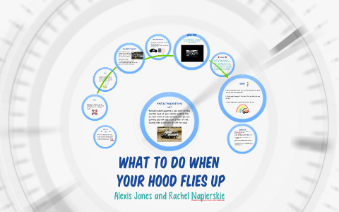Driver's Ed Chapter 15 by Rachel Napierskie on Prezi