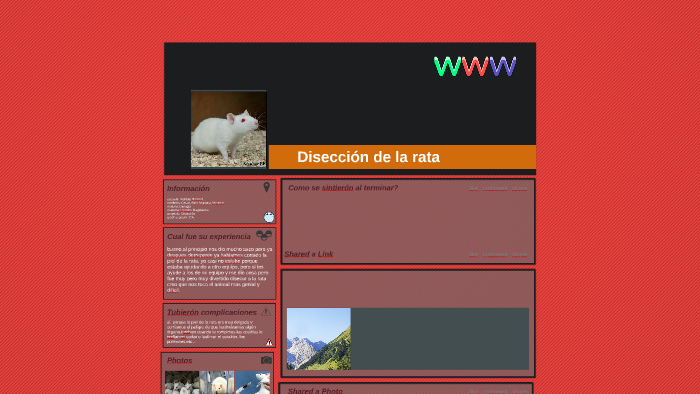 Disección de la rata by abril huerta jacobo on Prezi