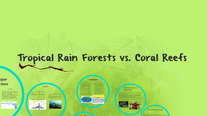Tropical Rain Forests vs. Coral Reefs by Jeff Balady on Prezi