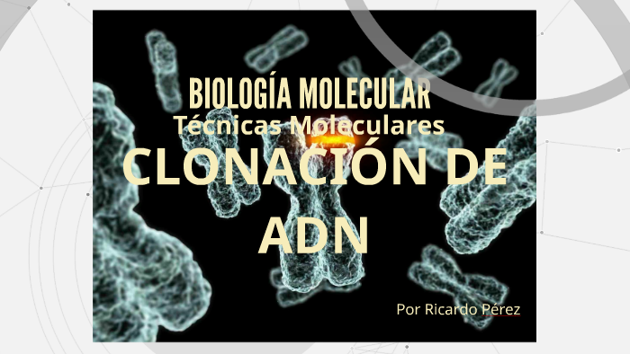 CLONACIÓN DE ADN by Ricardo Perez on Prezi