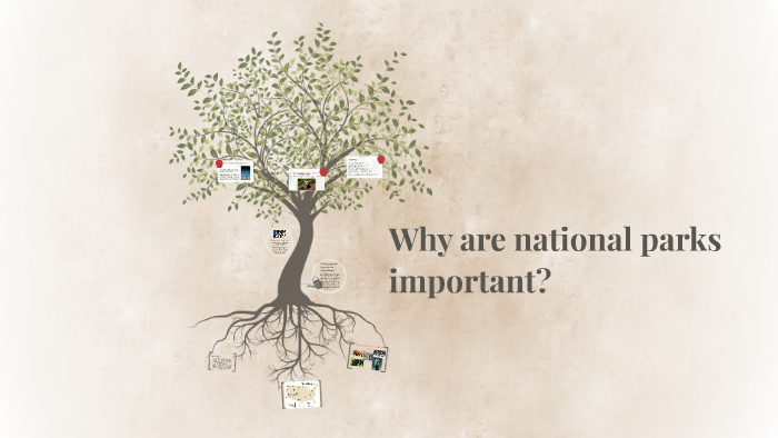 Why are national parks important? by Katie Gleason on Prezi