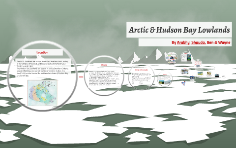 Arctic & Hudson Bay Lowlands by A B C on Prezi