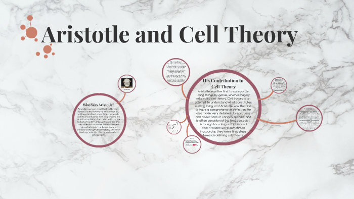 Aristotle and Cell Theory by Morag Brown on Prezi