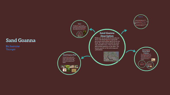 Sand Goanna by Jasmyne Younger on Prezi