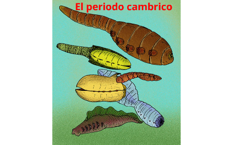 El Periodo Cambrico by Carlos Alberto Diaz Sanchez on Prezi