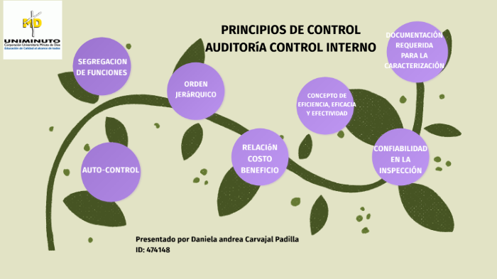 Principios del control interno by Patricia López Fraga on Prezi