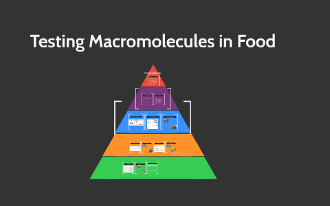 Testing Macromolecules in Food by Matthia Hadikusumo on Prezi
