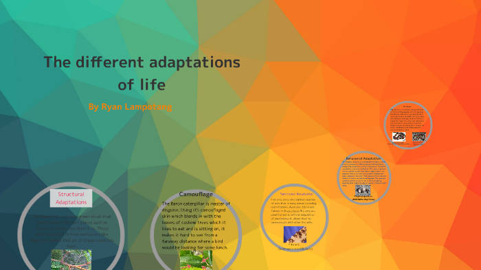 The different adaptations of life by Ryan Lampotang on Prezi