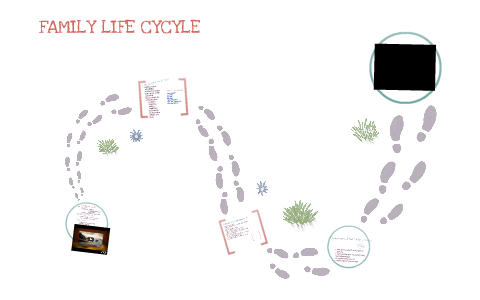 Family Life Cycle by denise g on Prezi