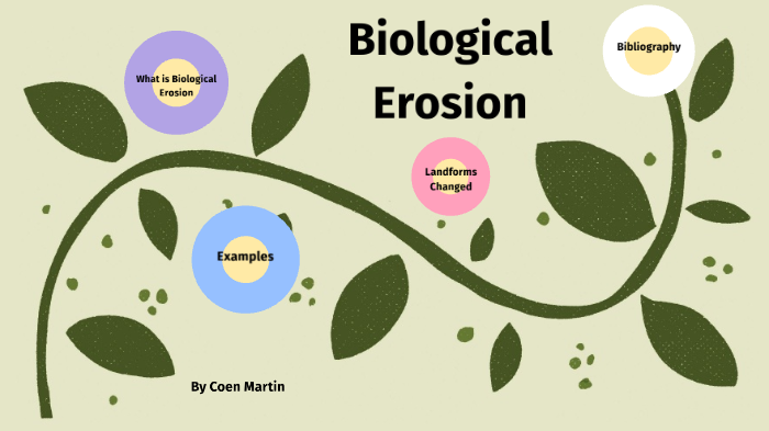 Biological Erosion by Coen Martin on Prezi