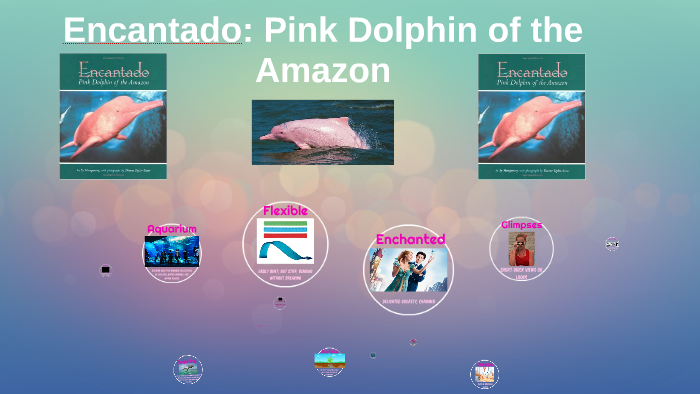 Encantado: Pink Dolphin of the Amazon by Aaron Dembowski on Prezi