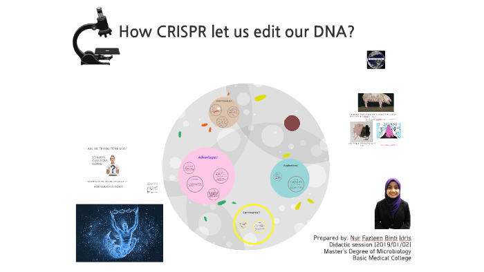 How CRISPR let us edit our DNA? by on Prezi
