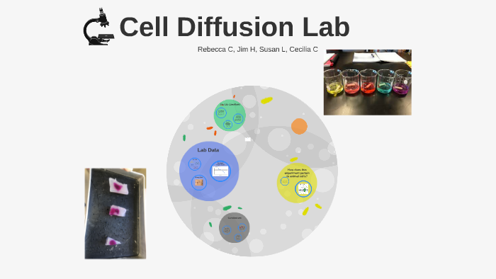Cell Diffusion Lab by Rebecca coppenbarger on Prezi