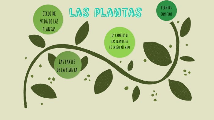 Los cambios en las plantas by Cecilia Mauro on Prezi