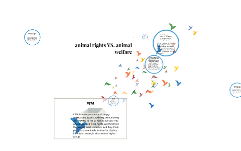 animal rights VS. animal welfare by cody stegman on Prezi