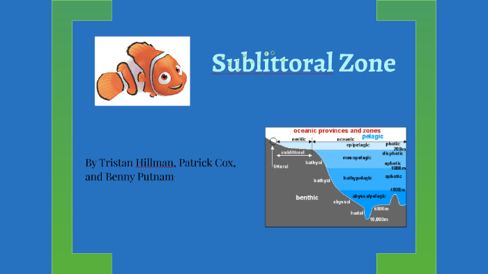 sublittoral zone by tristan hillman on Prezi