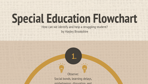 Special Education Flowchart by Hayley Brookshire on Prezi Design