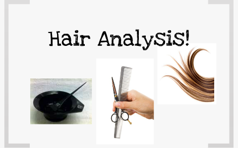 Hair Analysis by carly mclennan on Prezi