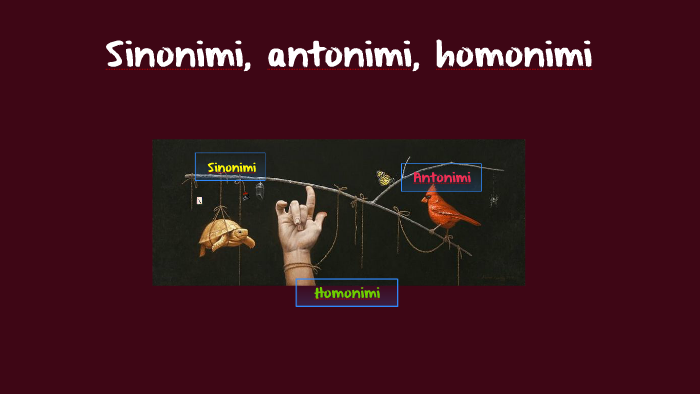 Sinonimi, antonimi, homonimi by Mirjana Vanovic on Prezi