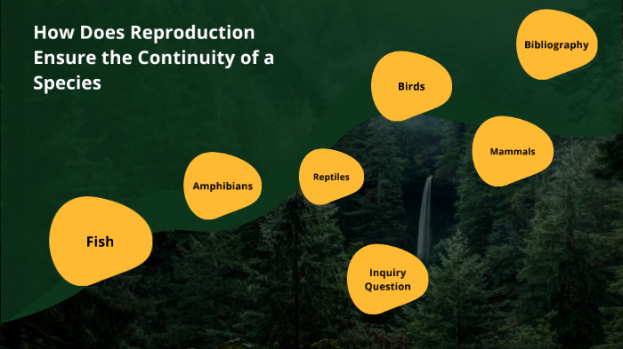 Biology - How Does Reproduction Ensure the Continuity of a Species by ...