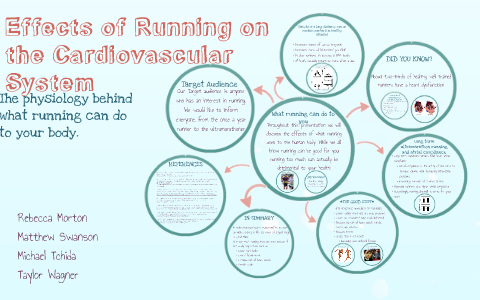 Effects of Running on the Cardiovascular System by Becca Morton on Prezi