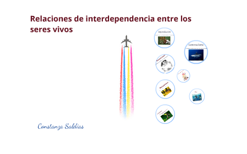 Relaciones de interdependencia entre los seres vivos by Constanza ...