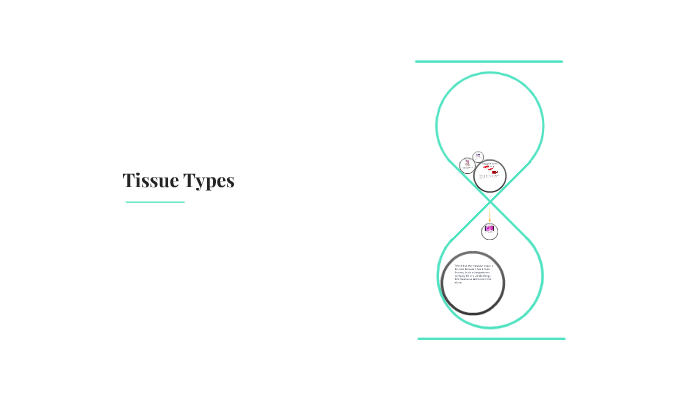 Tissue Types by hannah styron on Prezi