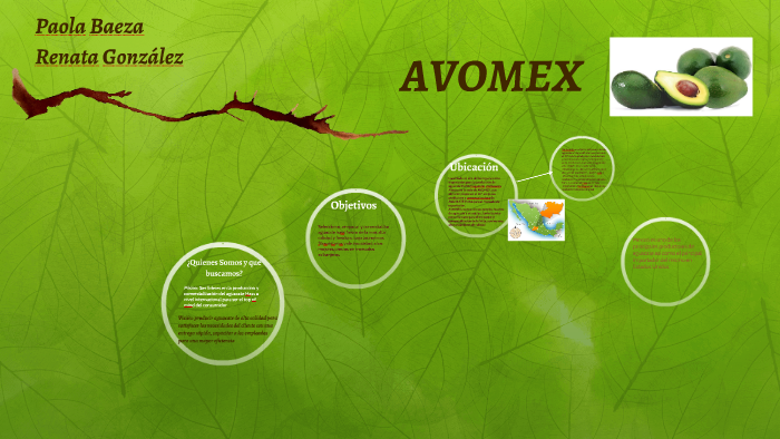 AVOMEX by on Prezi