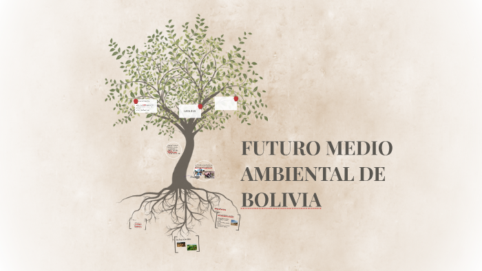 FUTURO MEDIO AMBIENTAL DE BOLIVIA by Boris Pardo on Prezi