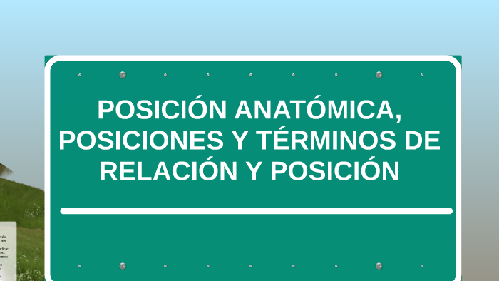 POSICIÓN ANATÓMICA, POSICIONES Y TÉRMINOS DE RELACIÓN Y POSI by ...