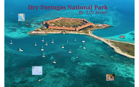 Dry Tortugas National Park by Lily Risser