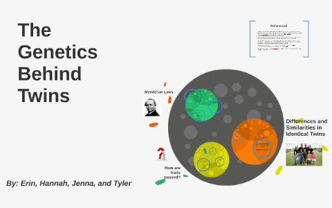 The Genetics Behind Twins by Hannah Allen on Prezi