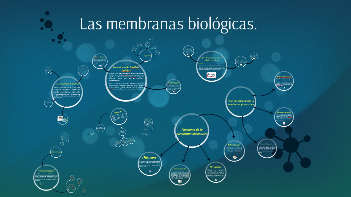 Las membranas biológicas. by Erika Preciado on Prezi