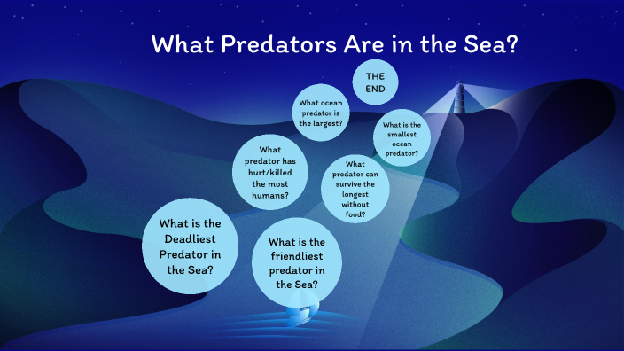 What Predators Live in the Ocean? by Evan Christopher on Prezi