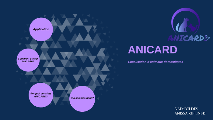 ANICARD by Naim Yildiz on Prezi
