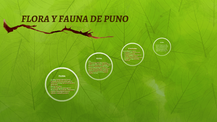FLORA Y FAUNA DE PUNO by suhail franco ledesma on Prezi